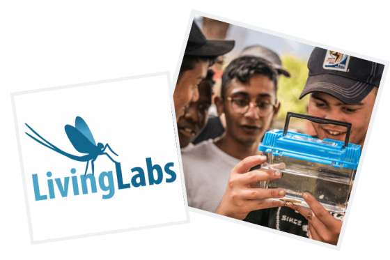 FRESHWATER ECOSYSTEMS: South Africa - Youth 4 Conservation